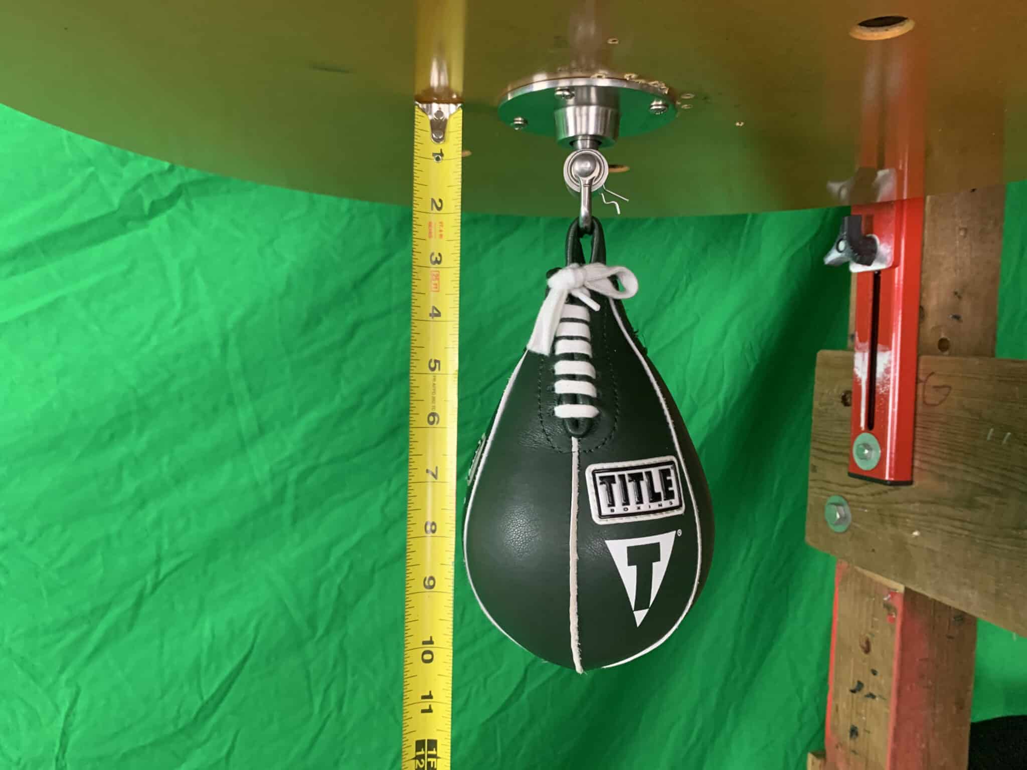 Best Speed Bag Size - Speed Bag Labs