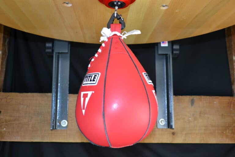 Best Speed Bag Size - Speed Bag Labs